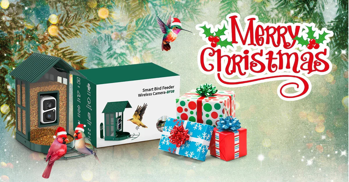 Soliom Home Wireless Security Cameras | Outdoor wifi Camera – Soliom ...