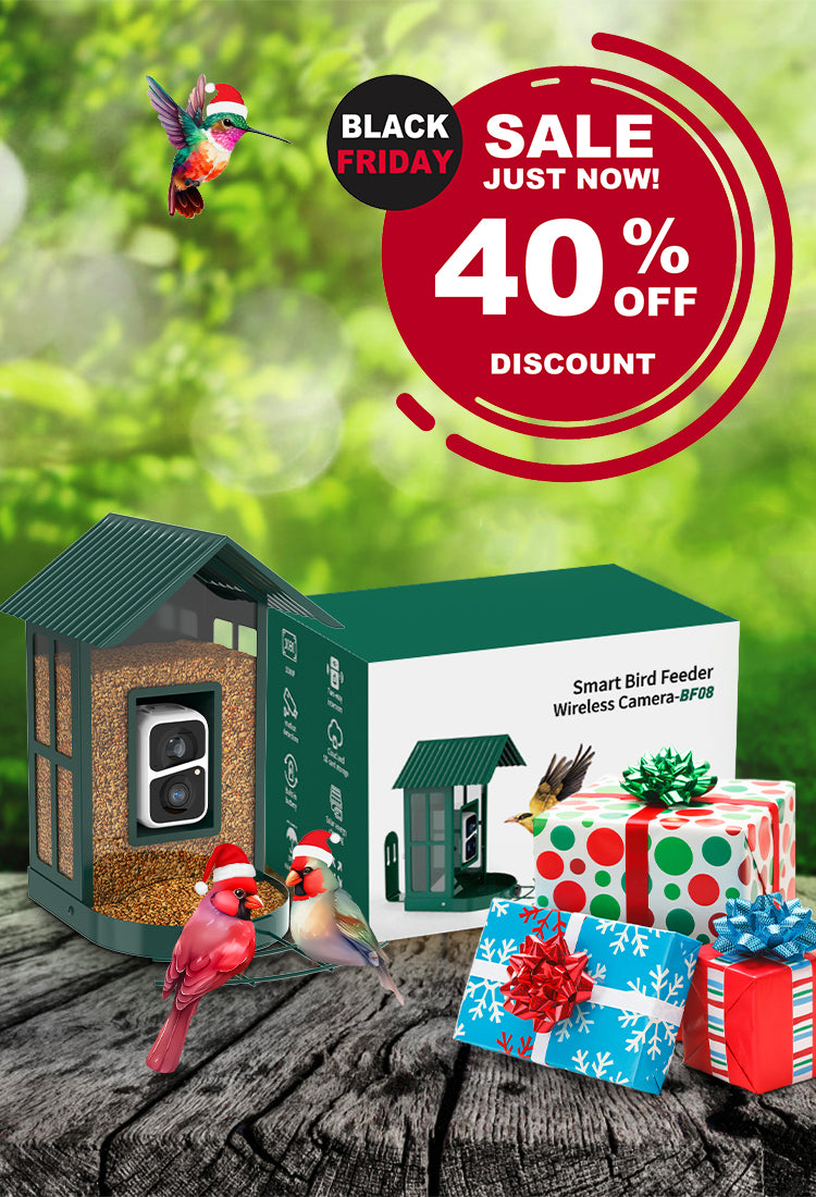 Soliom Home Wireless Security Cameras | Outdoor wifi Camera – Soliom ...