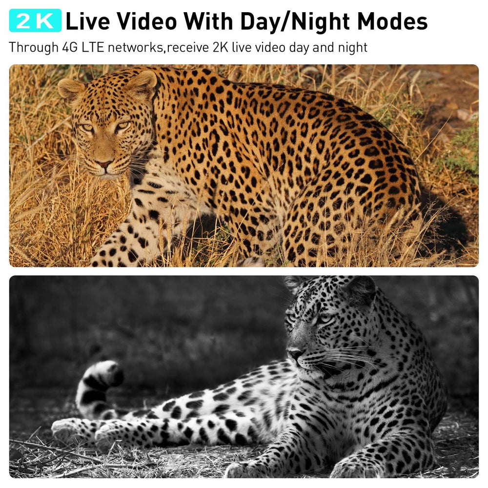 SOLIOM S50 4G Cellular Trail Camera,No WiFi Wireless Outdoor Security Camera with Solar Panel ...